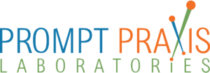Analytical Testing Lab - Prompt Praxis Labs