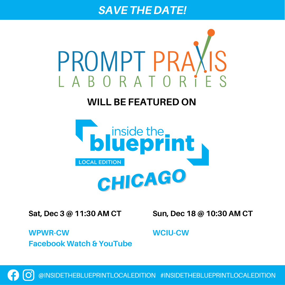 Analytical Testing Lab - Prompt Praxis Labs