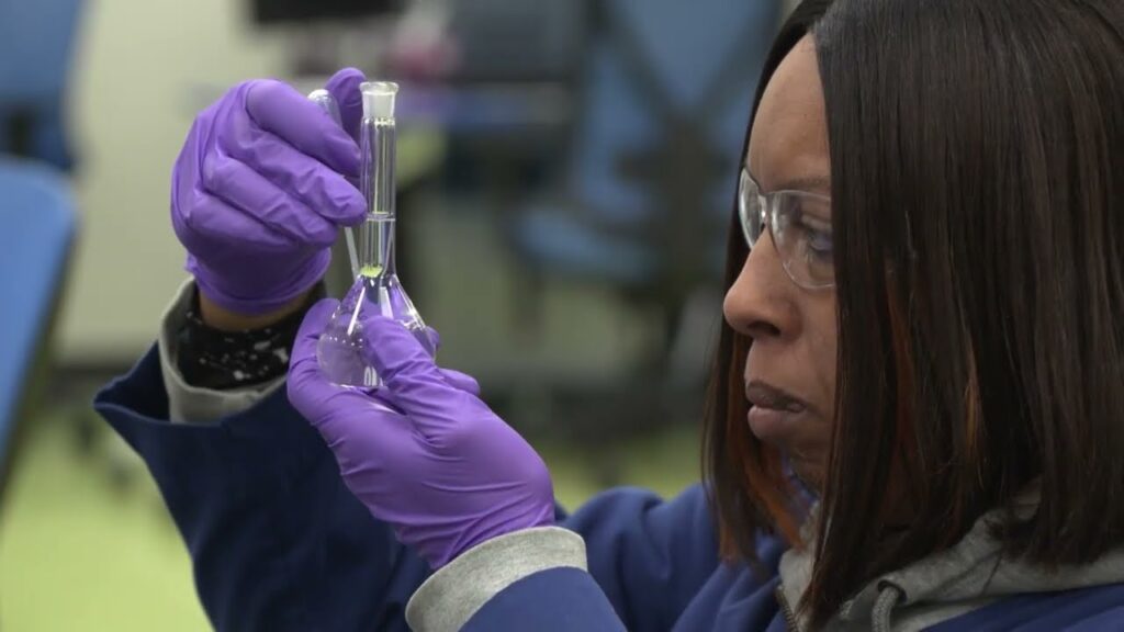 Analytical Testing Lab - Prompt Praxis Labs