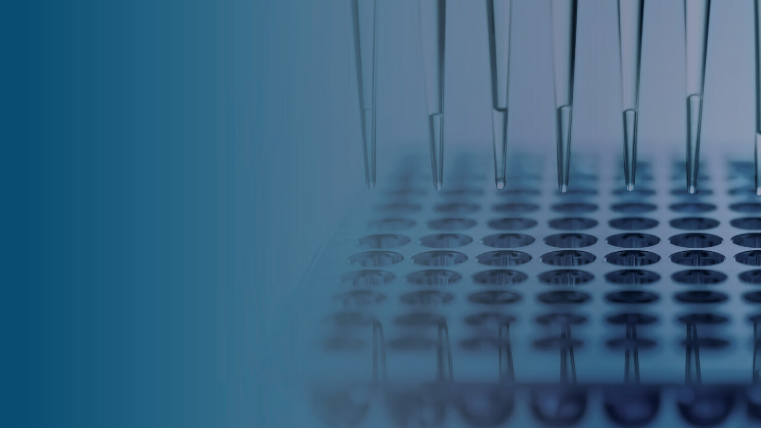 Analytical Testing Lab - Prompt Praxis Labs